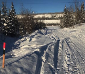 YQ: Stepping Stone to Pelly Crossing - SP Kennel